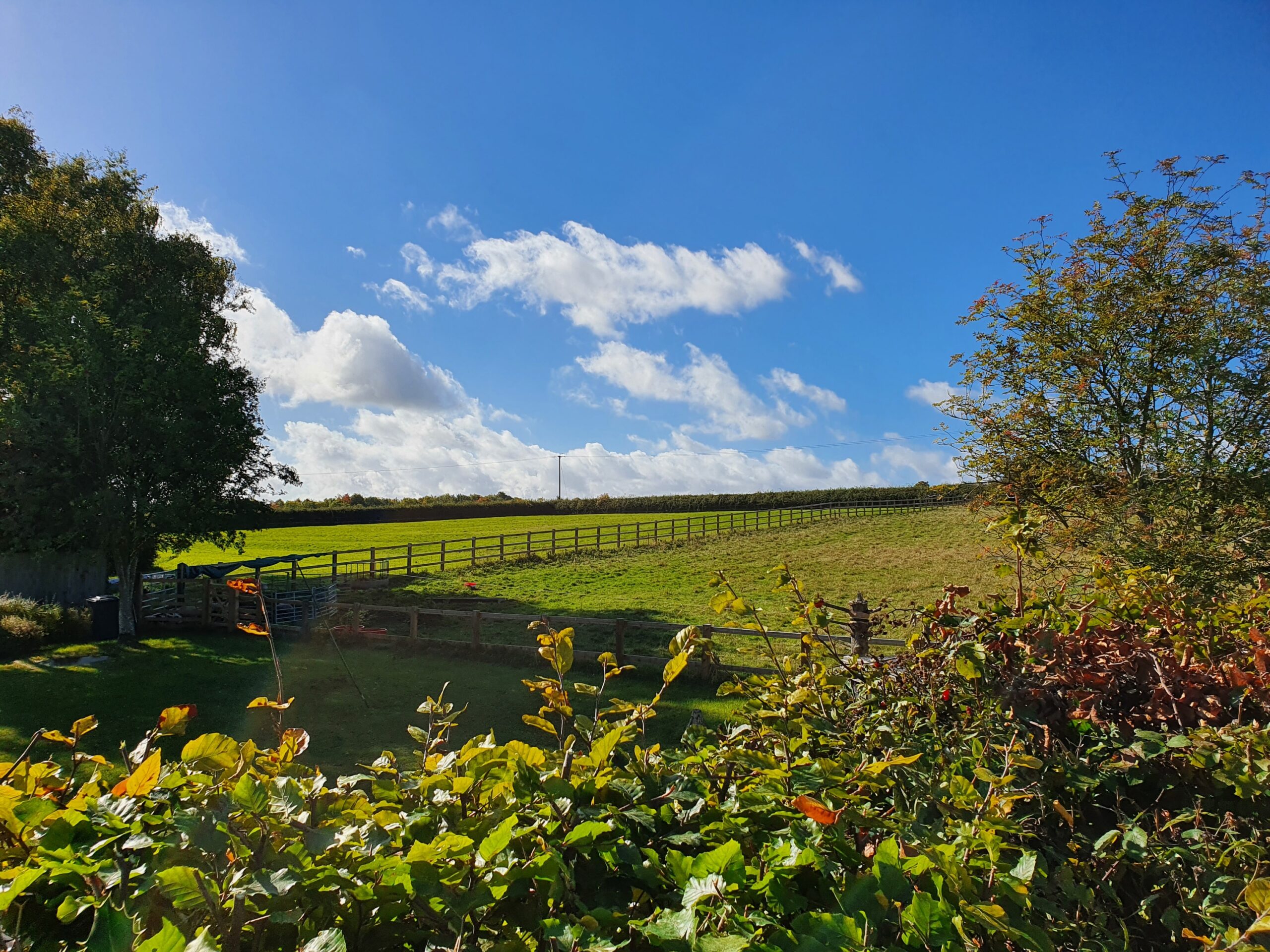 Walks from Fifield - Fifield